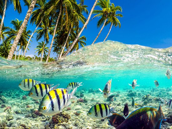 Diamond painting - Vierkante steentjes - Diamond painting volwassenen ...