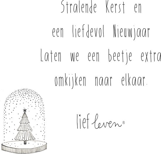Lief Leven • Kerstkaarten 2023 • set van 10 met enveloppe | bol