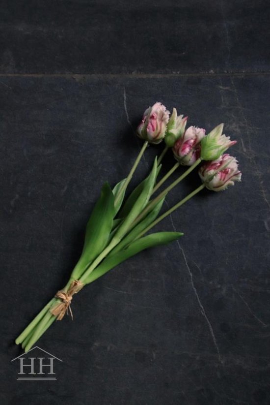 Papegaai tulp - 40cm - roze - 5 stelen - kunst tulpen - tulpenboeket ...