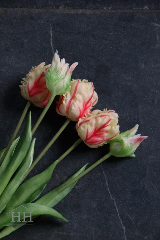 Papegaai tulpenboeket - kunst tulpen - 40cm - 5 stelen - donker roze ...