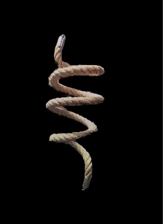 Home en Dier papegaai speelgoed Klimtouw 70cm Sisal | bol