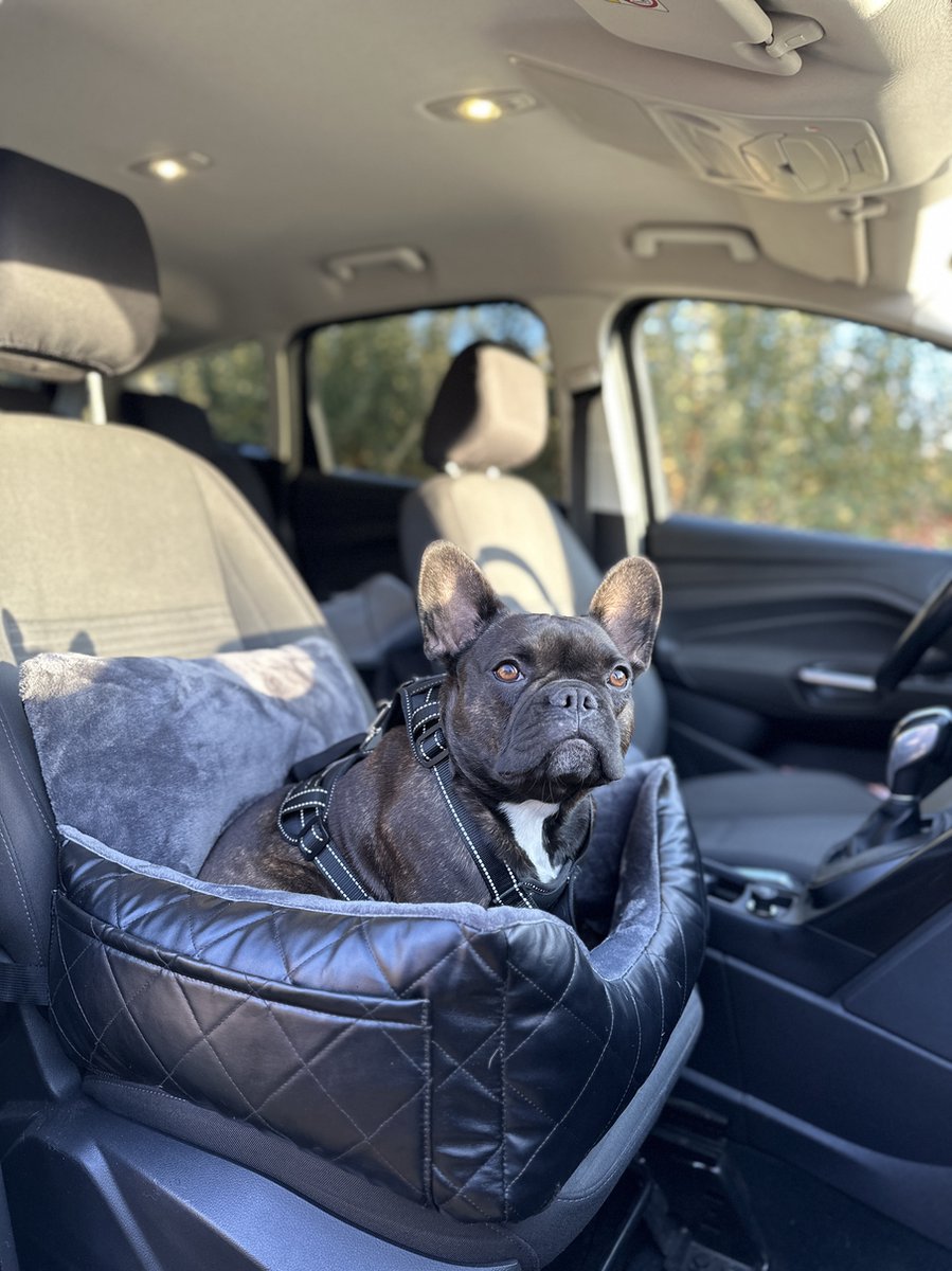 Autostoel Hond - Hondenmand Auto - Hondenstoel Auto - Zwart met Grijs ...