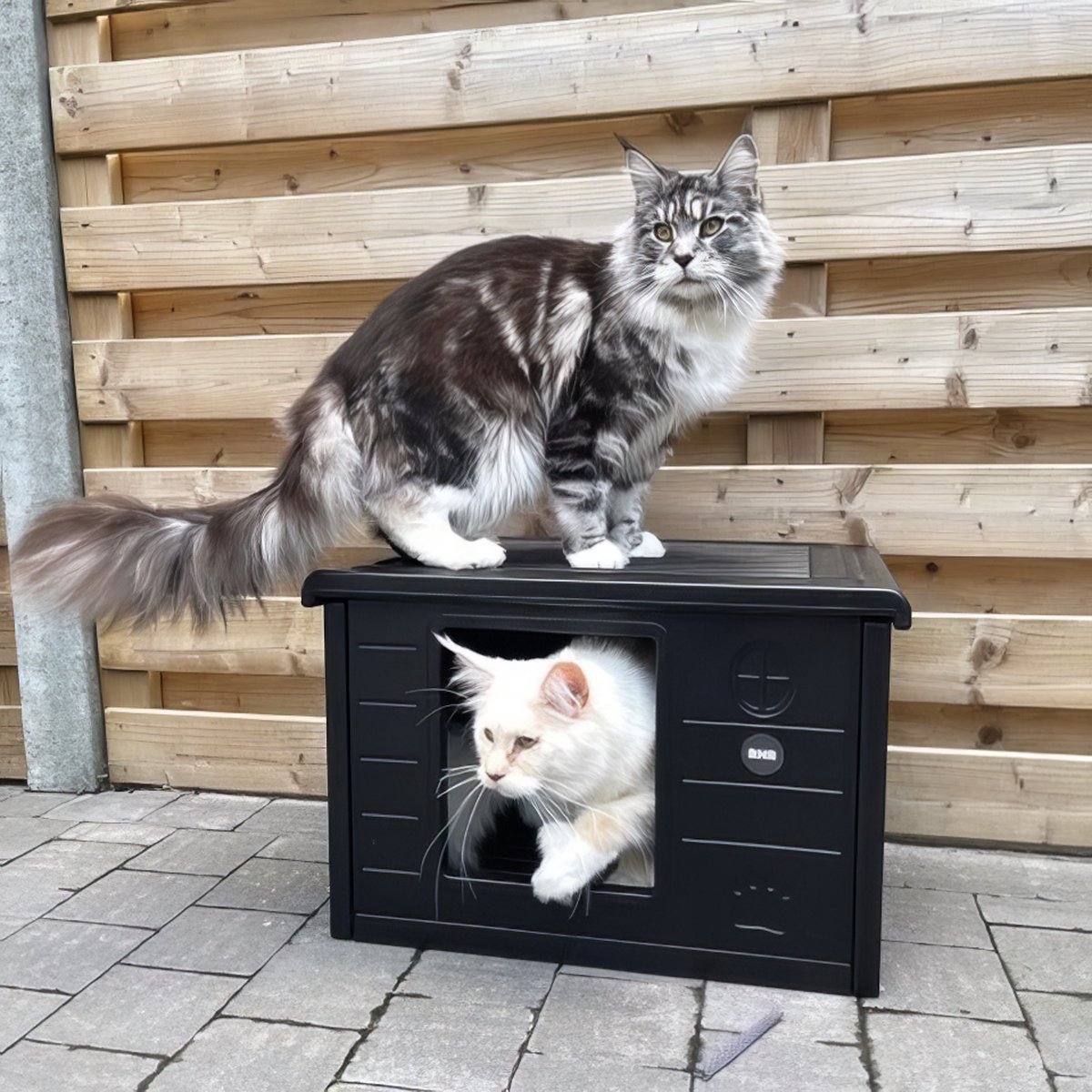 RHRQuality Kattenhuis voor binnen en buiten kattenhok Villa de Luxe ...