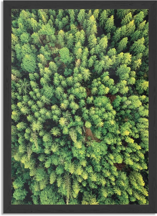 Poster Het groene bos Rechthoek Verticaal Met Lijst L (40 X 50 CM ...