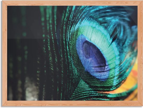 Poster Een veer van de Pauw Rechthoek Horizontaal Met Lijst XL (70 X 50 ...