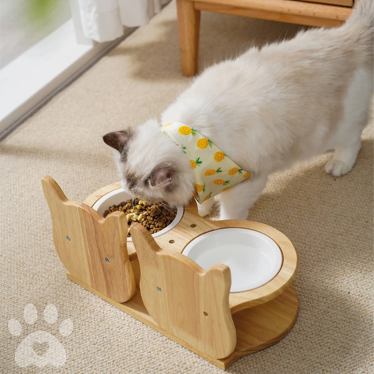 Trend24 - Gamelles pour chat - Gamelle surélevée pour chat - Gamelles ...