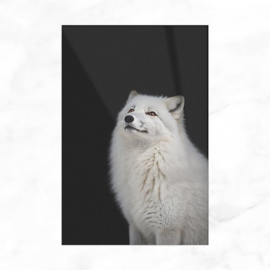De Muurdecoratie - Glasschilderij - Witte Vos Schilderij - Dieren - Vos ...