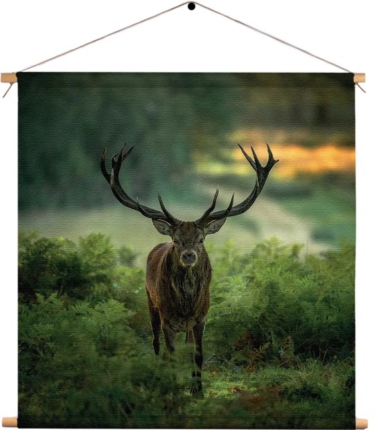 Textielposter Edelhert In Het Bos Vierkant XXL (90 X 90 CM) - Wandkleed - Wanddoek -... | bol