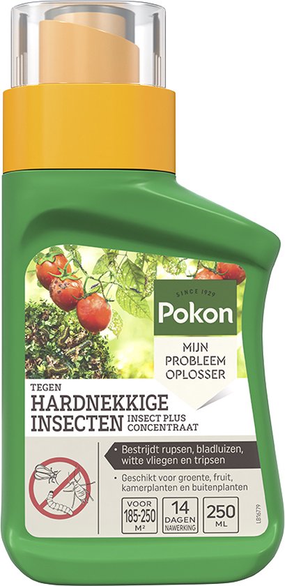 Pokon Tegen Hardnekkige Insecten Insect-Plus - Concentraat - 250ml -... | bol