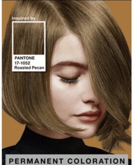 SYOSS Colors Pantone Haarverf 6-66 Roasted Pecan - 1 stuk ...