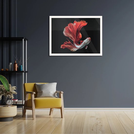 Poster The Betta Fish Rechthoek Horizontaal Met Lijst M (40 X 30 CM ...