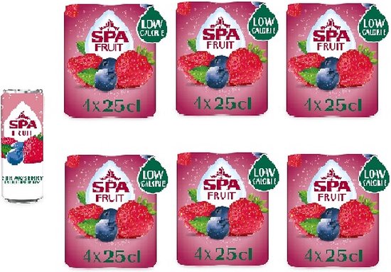 Spa Fruit Niet Bruisend Strawberry Blueberry 6 multipacks x 4 blikjes x ...