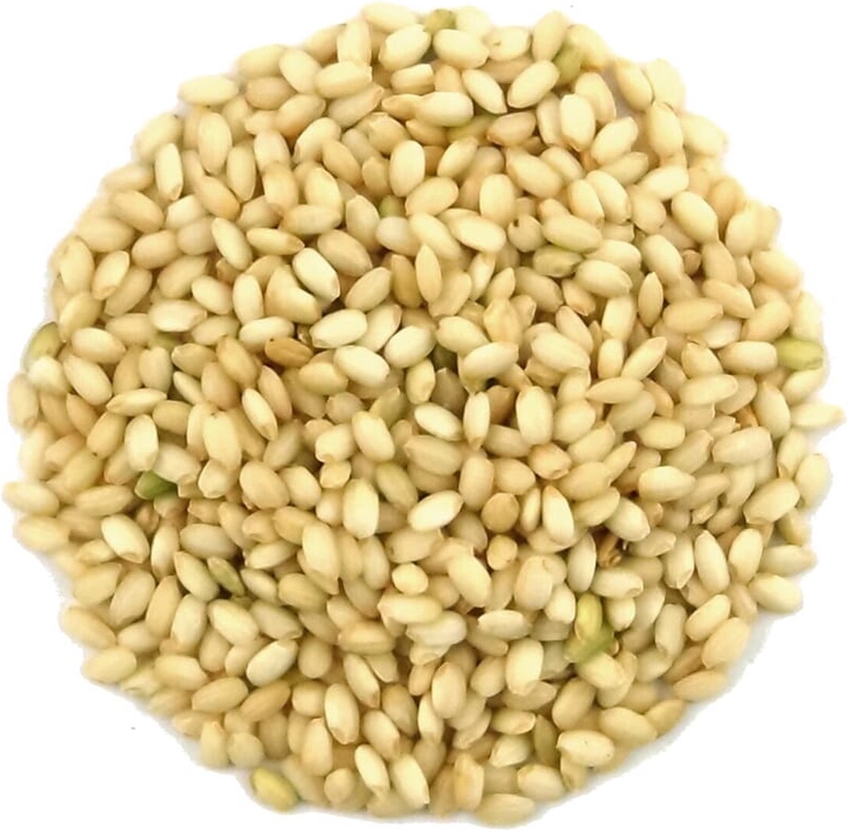 Pit&Pit - Kleefrijst volkoren bio 1.3kg - Voor rijstballetjes ...