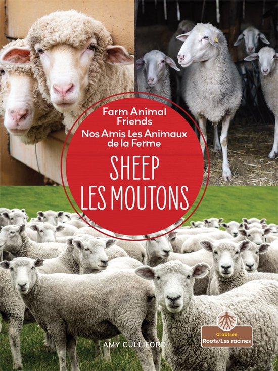 Nos Amis Les Animaux de la Ferme (Farm Animal Friends) Bilingual ...
