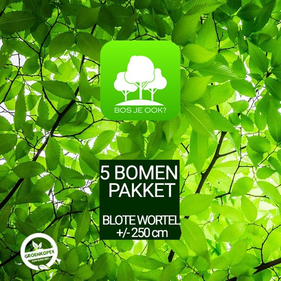 Bos je ook? Plant een Inheems Bomen Pakket - 5 Juweeltjes voor ...