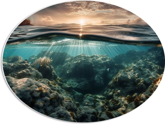 PVC Schuimplaat Ovaal - Zee - Koraal - Vissen - Water - Zon - 56x42 cm ...