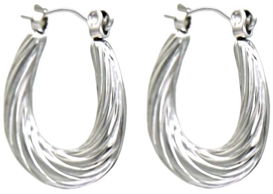 Oorbellen Reliëf - Oorringen - RVS - 2 cm - Zilverkleurig | bol