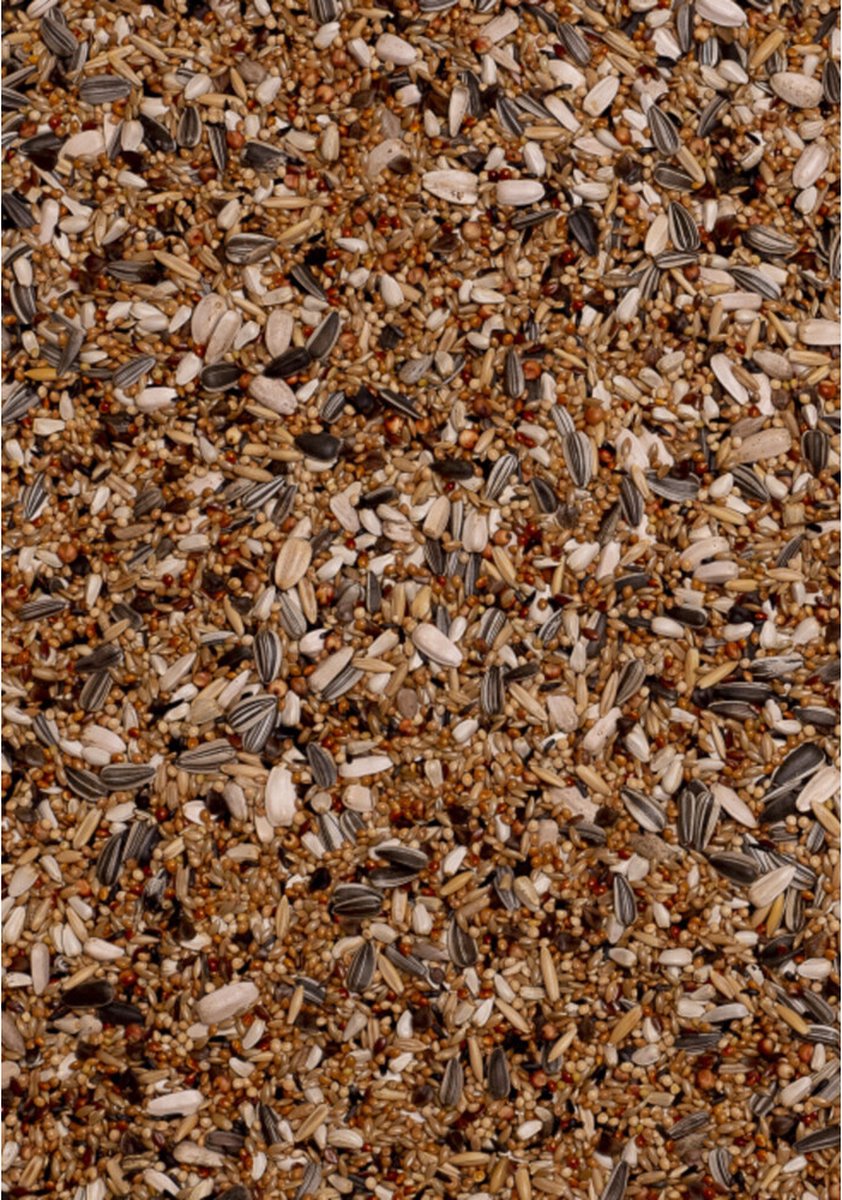 Premium Grote parkietenzaad 4KG | bol