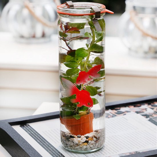 Waterworld Glas - Aquariumplant en 2 Nep Goudvissen – 2 stuks - Ø 6 cm ...