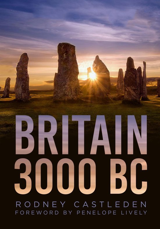 Britain 3000 BC (ebook), Rodney Castleden | 9781803995595 | Boeken | bol