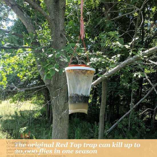 Borvat® - Insectenval trekt Muggen en Wespen aan - vliegenval - Ranch ...