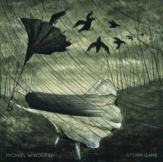 Michael Winograd - Storm Game (CD), Michael Winograd | CD (album ...