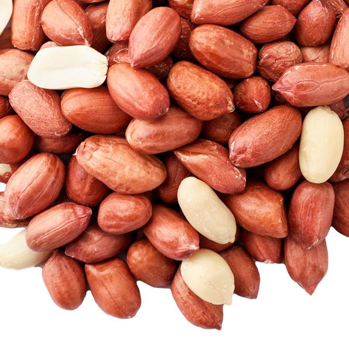 The bird family - Premium Gepelde pinda's - 10 KG | bol