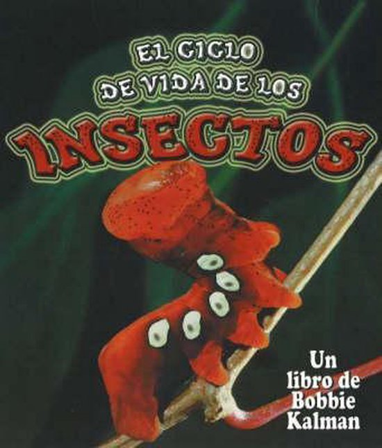 El Ciclo De Vida De Los Insectos / The Life Cycle of Insects, Molly ...