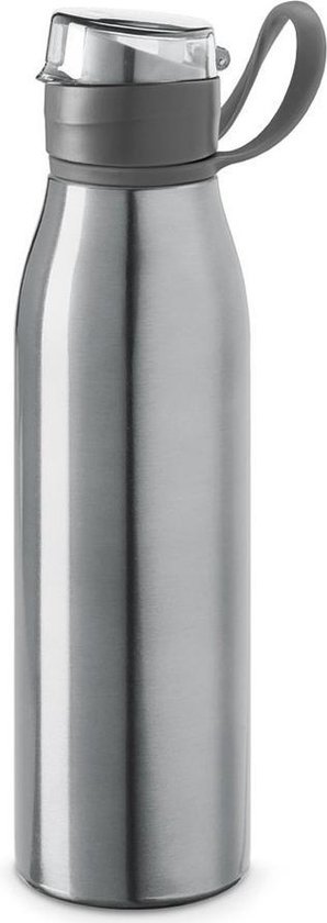 Aluminium waterfles/drinkfles zilver met klepdop en handvat 650 ml ...