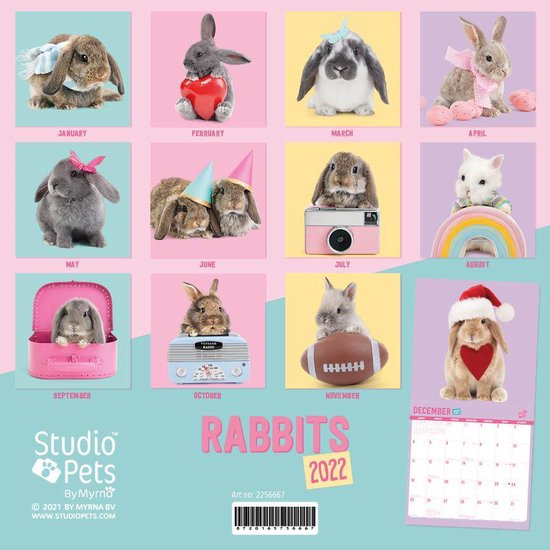 Rabbits Studio Pets Kalender 2022 | bol
