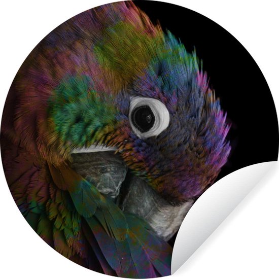 WallCircle - Muurstickers - Behangcirkel - Papegaai - Regenboog - Zwart - ⌀ 120 cm -... | bol