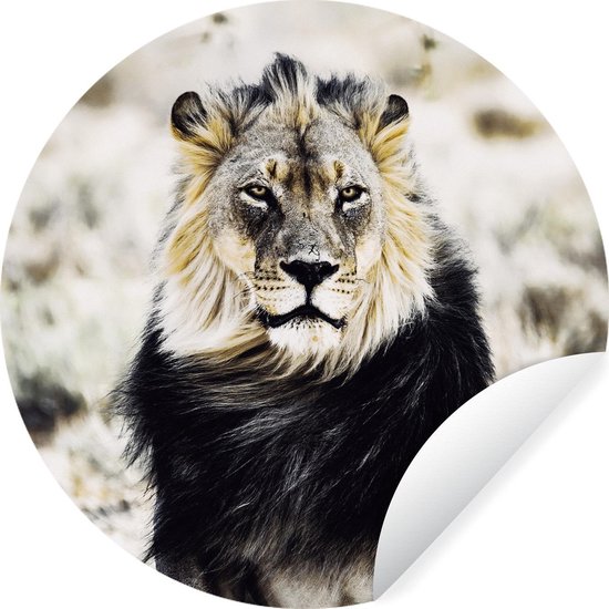 WallCircle - Muurstickers - Behangcirkel - Wilde dieren - Leeuw - Zwart - ⌀ 30 cm -... | bol
