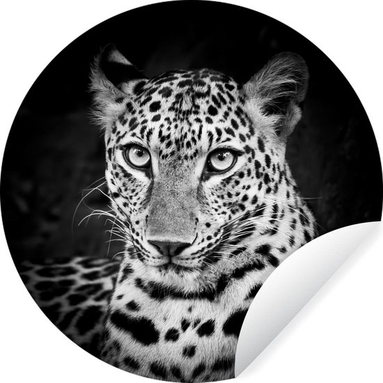 WallCircle - Muurstickers - Behangcirkel - Panter - Zwart - Wit - ⌀ 140 cm -... | bol