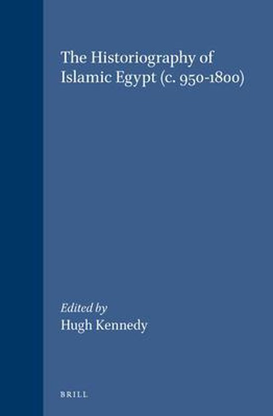 Medieval Mediterranean-The Historiography of Islamic Egypt (c. 950-1800 ...