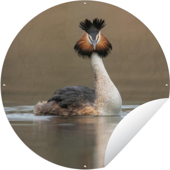 Tuincirkel Fuut - Vogel - Water - 90x90 cm - Ronde Tuinposter - Buiten ...