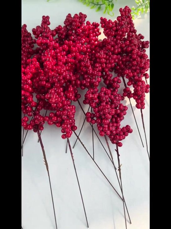 Rode bessen takjes - Kunst bessen takjes - bessen takjes - Rode besjes ...
