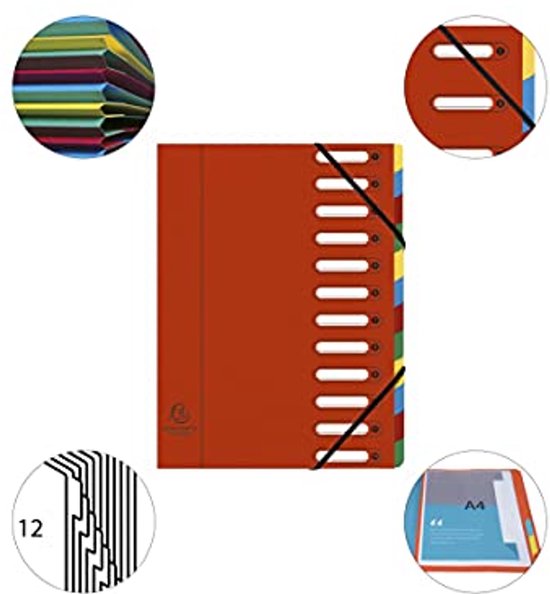 Harmonica Sorting Folder with Elastic and Cut-Out Windows - Glossy ...