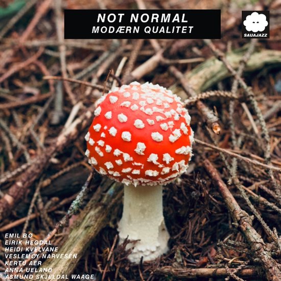 Not Normal - Modærn Qualitet (CD), Not Normal | Muziek | bol
