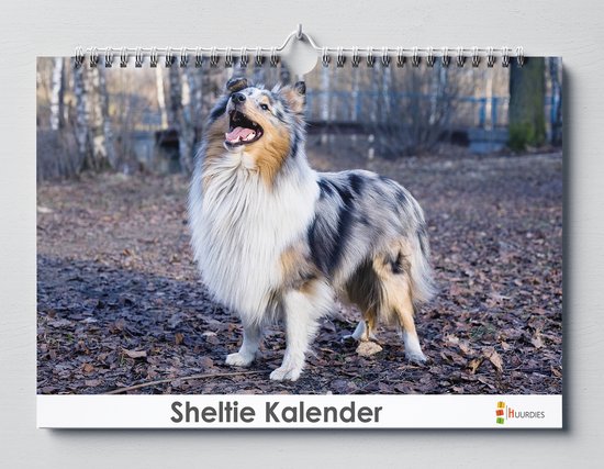 Sheltie kalender 35x24 cm | Verjaardagskalender Sheltie | Hondenras ...