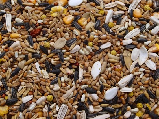 Tweedfeed - Voordeel - Strooivoer - vogelvoer - 5kg | bol