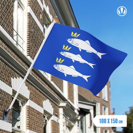 Vlag Scheveningen 100x150cm | bol