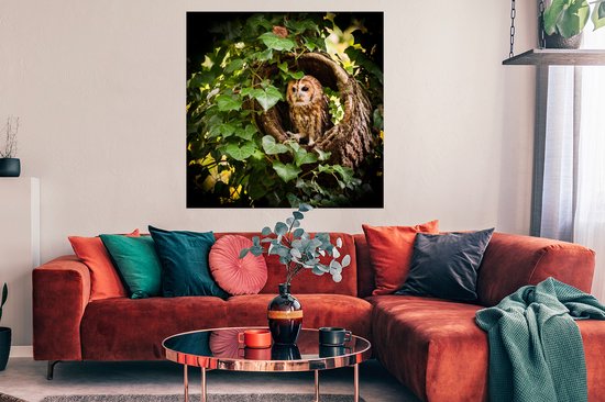 Poster Een bosuil in een boomstam - 100x100 cm XXL | bol.com