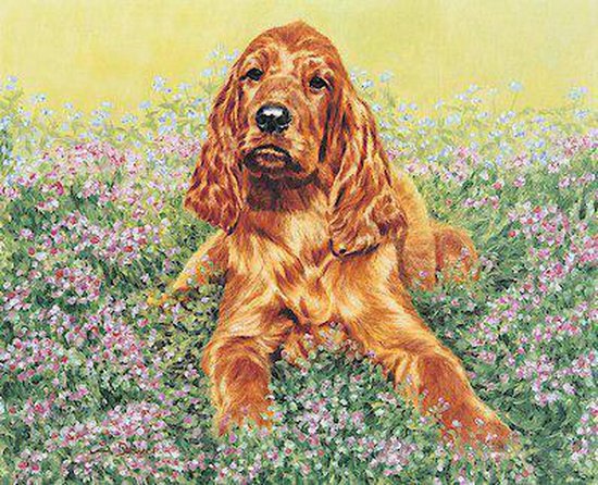 Little Red Chevy (ebook), Charles Andrew Bailey | 9781386873792 ...