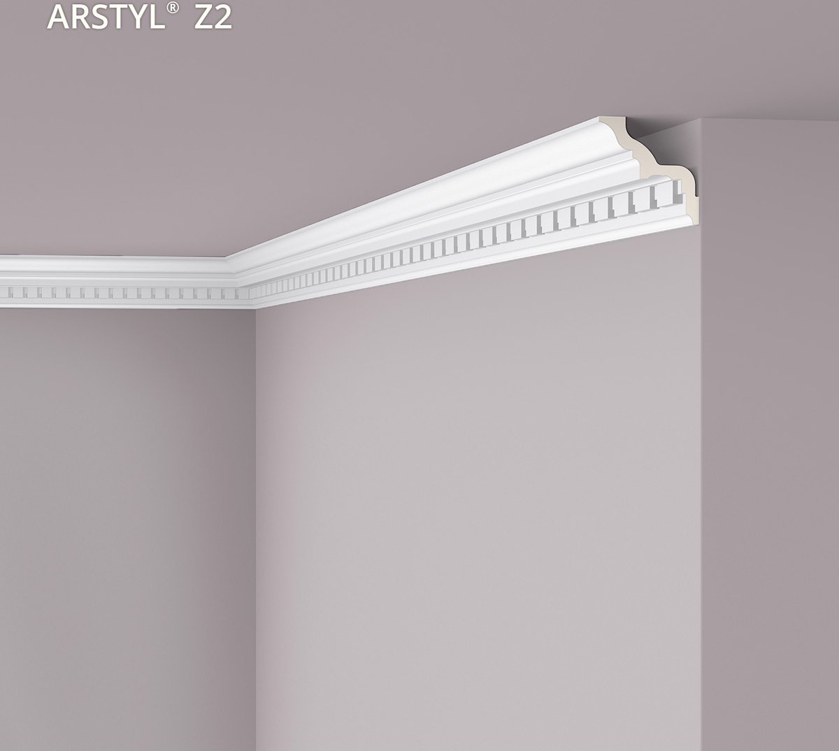 Corniche NMC Z2 ARSTYL Noel Marquet Moulure décorative Corniche de ...