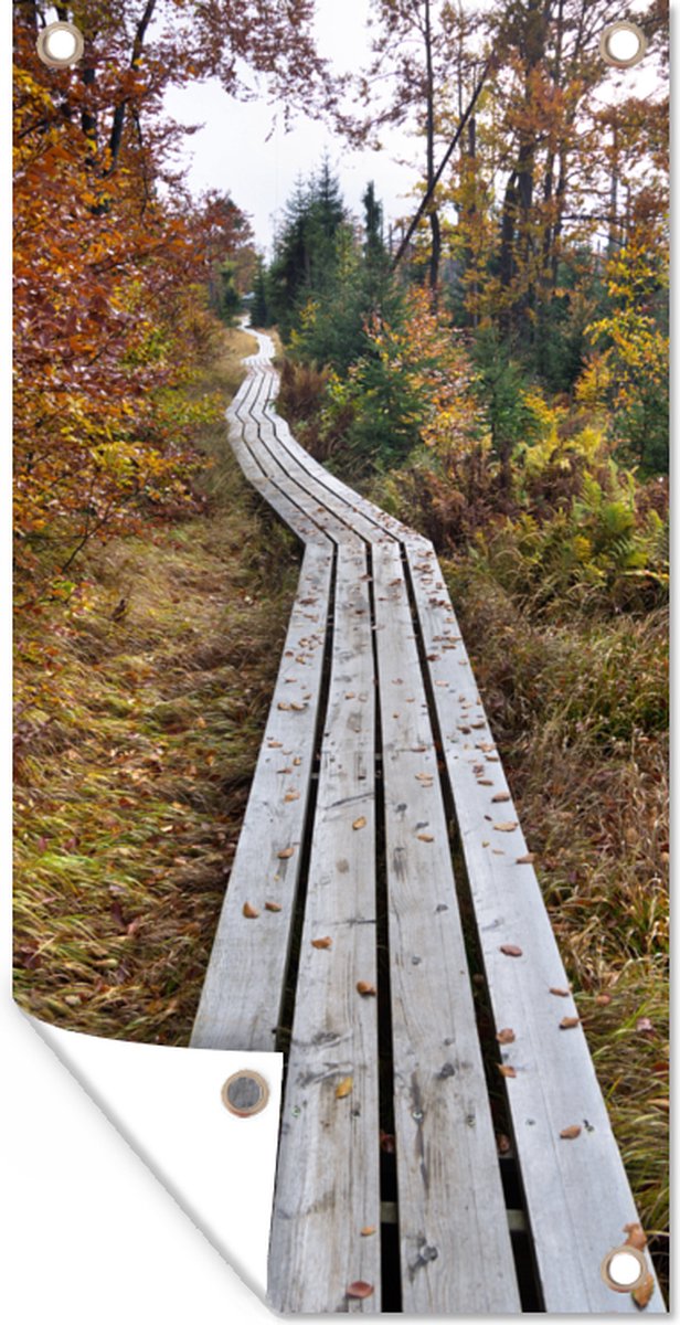 Wanddecoratie buiten Houten loopbrug door het bos in het Nationaal Park ...