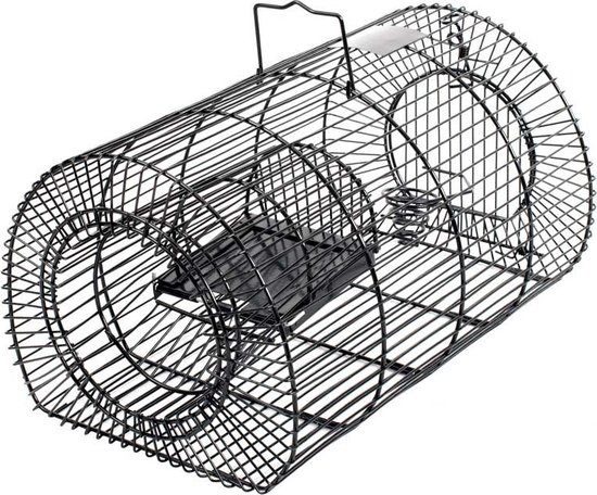 Kleine rattenval voor meerdere ratten | bol
