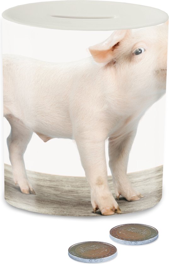 Spaarpot - Spaarblik - Biggetje - Baby varken - Jongens - Meisjes ...