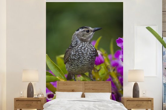 Behang - Fotobehang Dieren een bruine prieelvogel op bloemen - Breedte ...