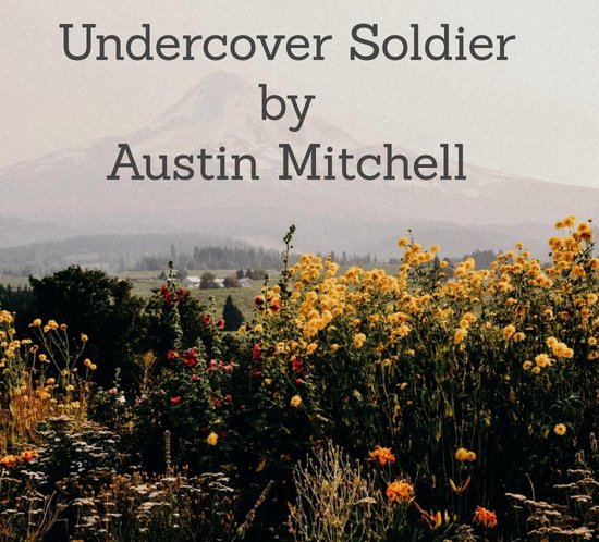 Undercover Soldier (ebook), MR Austin G Mitchell | 9781386825098 ...