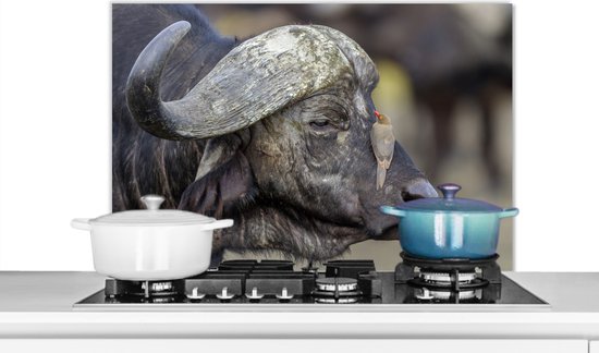 Spatscherm Keuken - Kookplaat Achterwand - Spatwand Fornuis - 80x55 cm ...